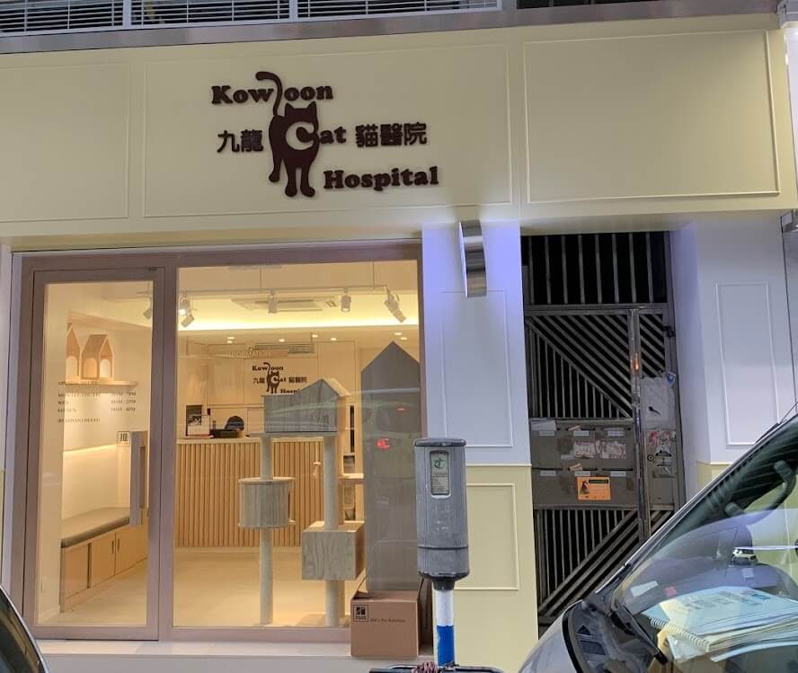 貓絕育邊間好？要幾錢？愛協、NPV…9大貓絕育診所推薦&評價 - 都市新便利